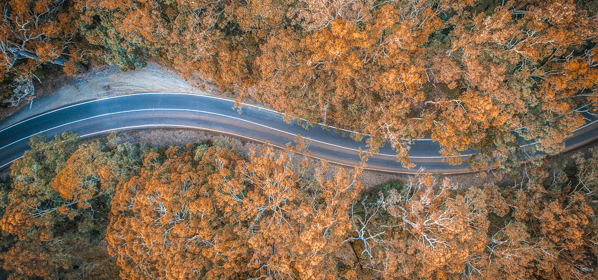 Investment Q&A with Troy MacMillan - The Wealth Designers